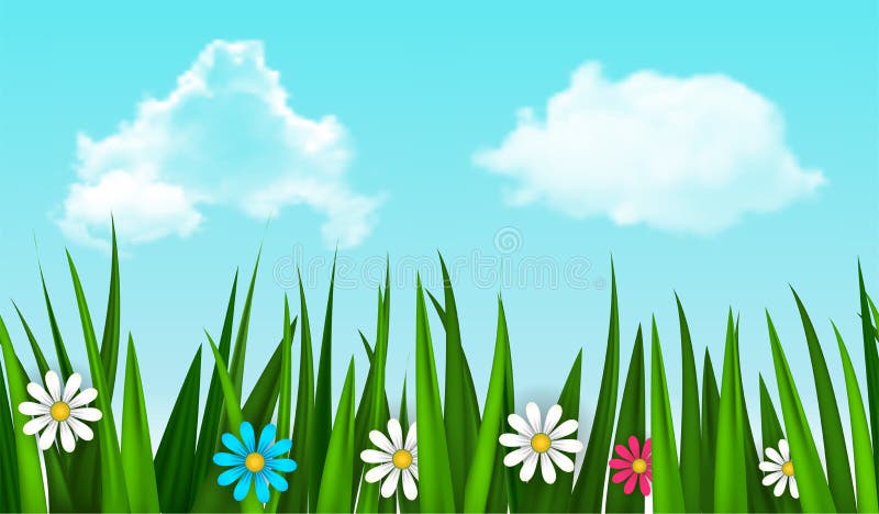 Spring Green Grass Seamless Border with Sky and Flowers . Detailed ...