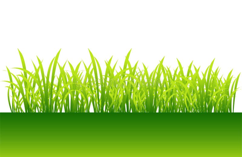 Spring, Green Grass for Your Design Stock Vector - Illustration of ...