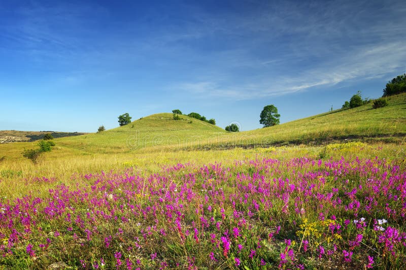 Spring green hills. nature stock photo. Image of idyllic - 101196862