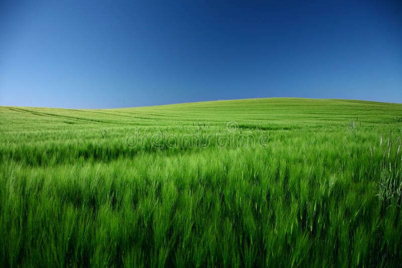 Spring green landscape stock image. Image of skies, crop - 17224303