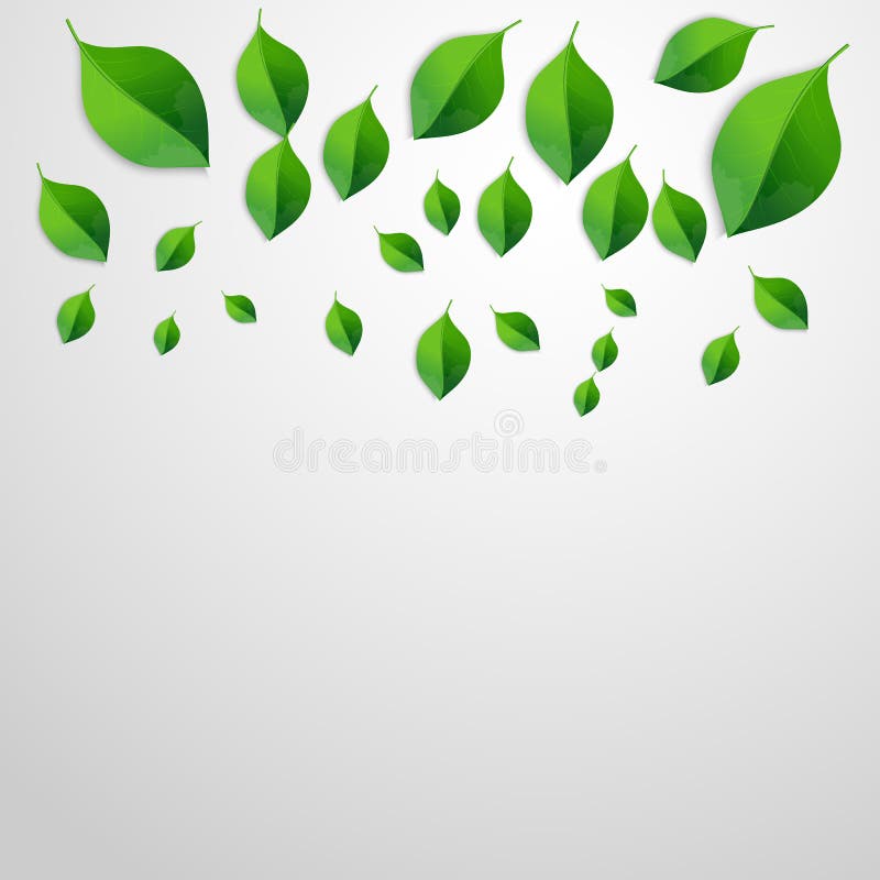 Spring Green Leaves Background. Go Green Concept Stock Vector ...