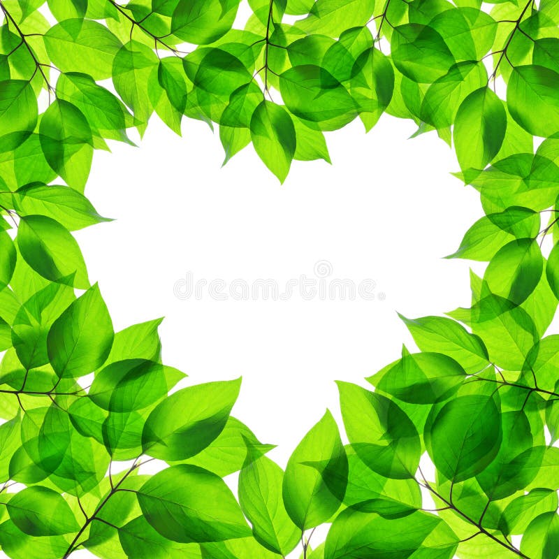 Spring Green Leaves in Heart Shape Stock Image - Image of season ...