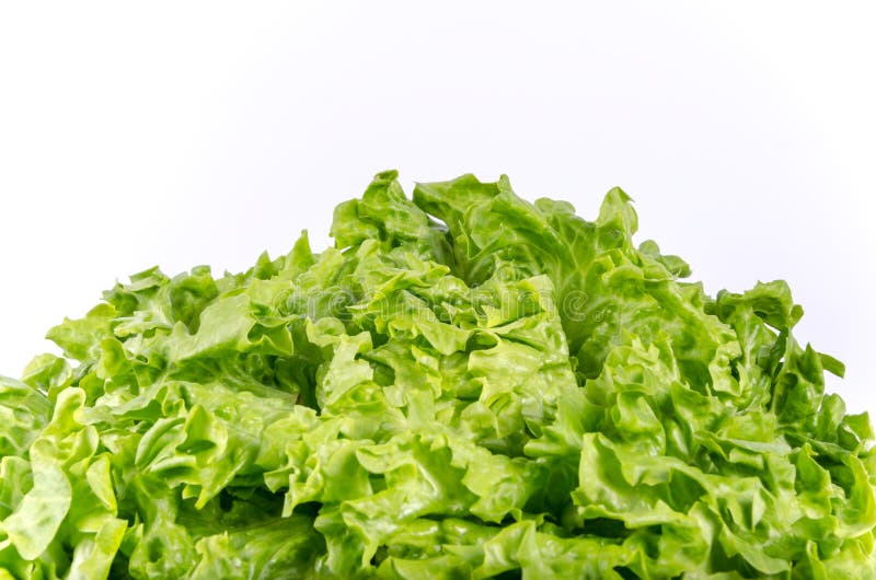 Texture of Spring Green Lettuce Leaves Isolated on a White Background ...