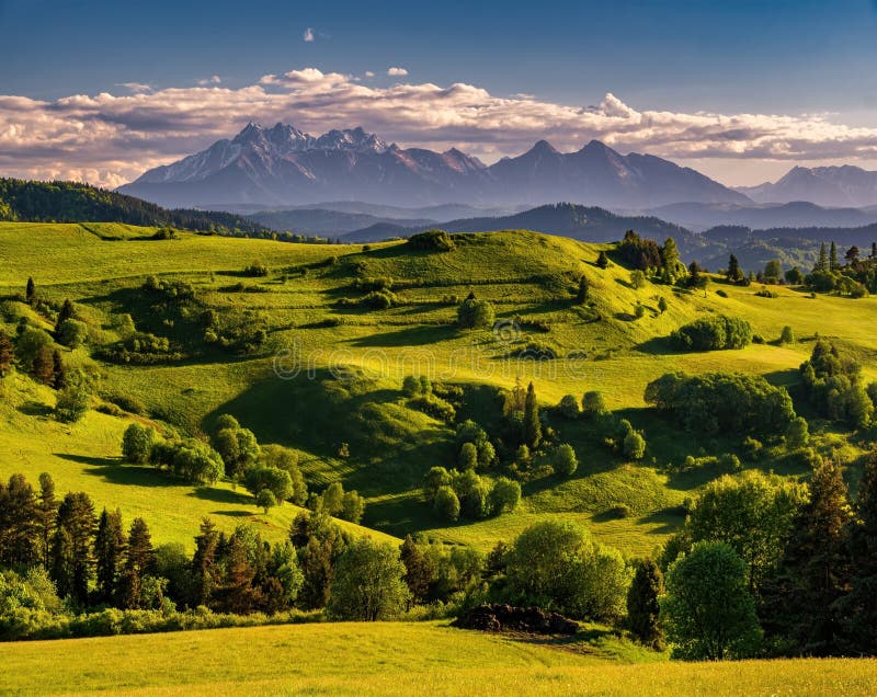 Spring Green Meadows Undulating Landscape with Hills and Shadows, High ...