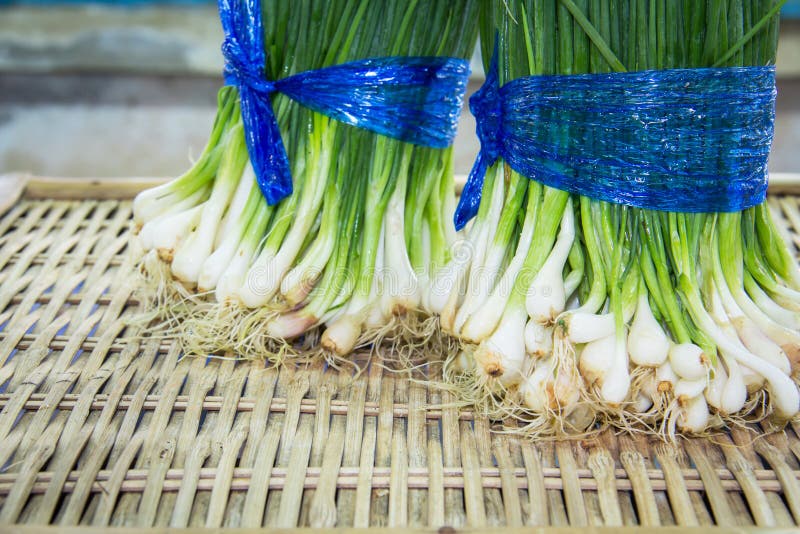 Spring Green Onion with Chives Stock Image - Image of appetizing ...