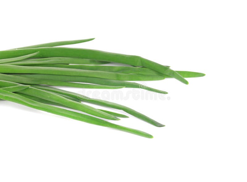 Spring Onion Isolated on White Stock Image - Image of spring, gourmet ...