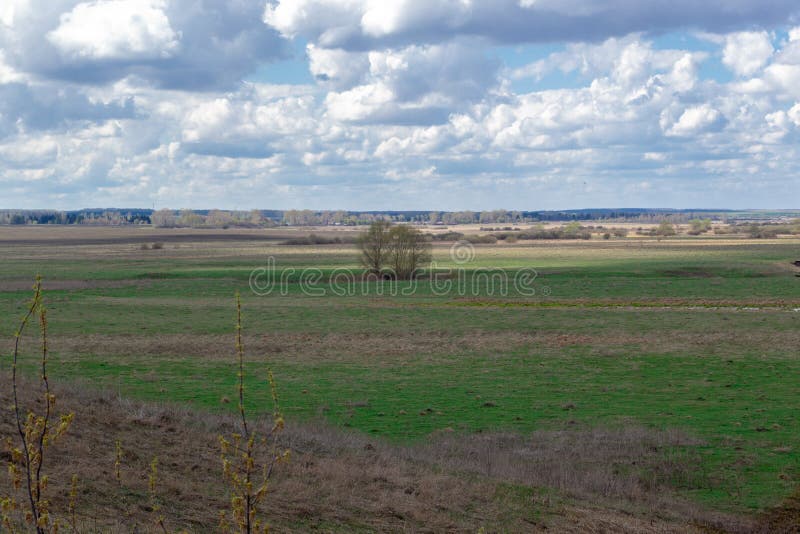 Spring Green Plain with White Cumulus Clouds Above it. Landscape View ...