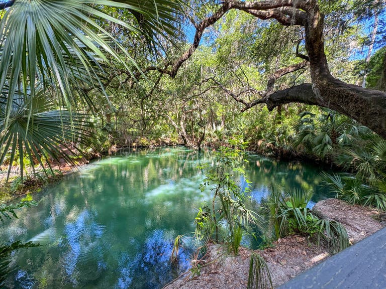 The Spring in Green Springs Park Stock Photo - Image of america, silver ...