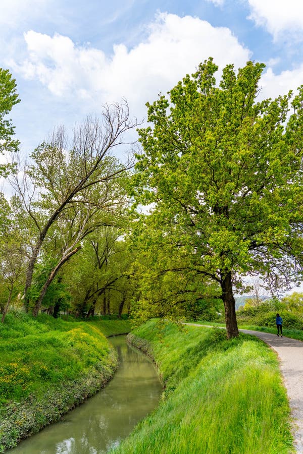 Spring is green stock photo. Image of dynamic, nature - 218347240