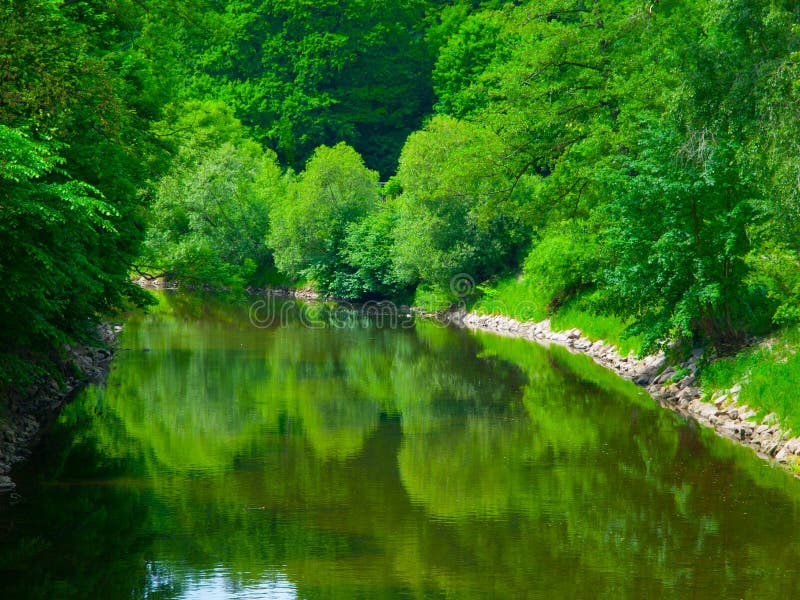 Spring Greenery Reflected in the River Stock Photo - Image of ...