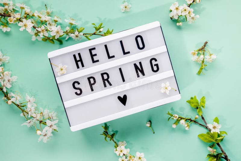 Spring Greeting Displayed on a Lightbox with Decorative Flowers Stock ...