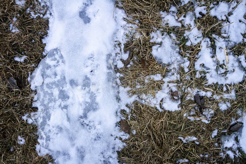 Spring Ground Covered with Thawing Snow Stock Image - Image of cold ...