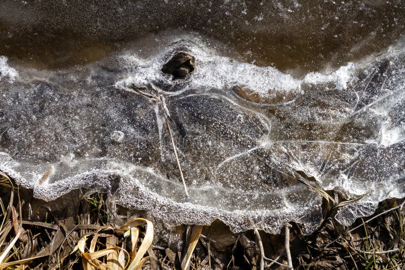 Spring Ground Covered with Thawing Snow Stock Photo - Image of ...