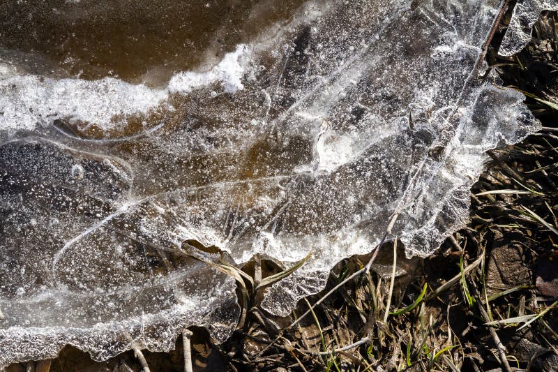 Spring Ground Covered with Thawing Snow Stock Photo - Image of ...