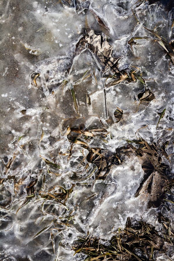 Spring Ground Covered with Thawing Snow Stock Photo - Image of season ...