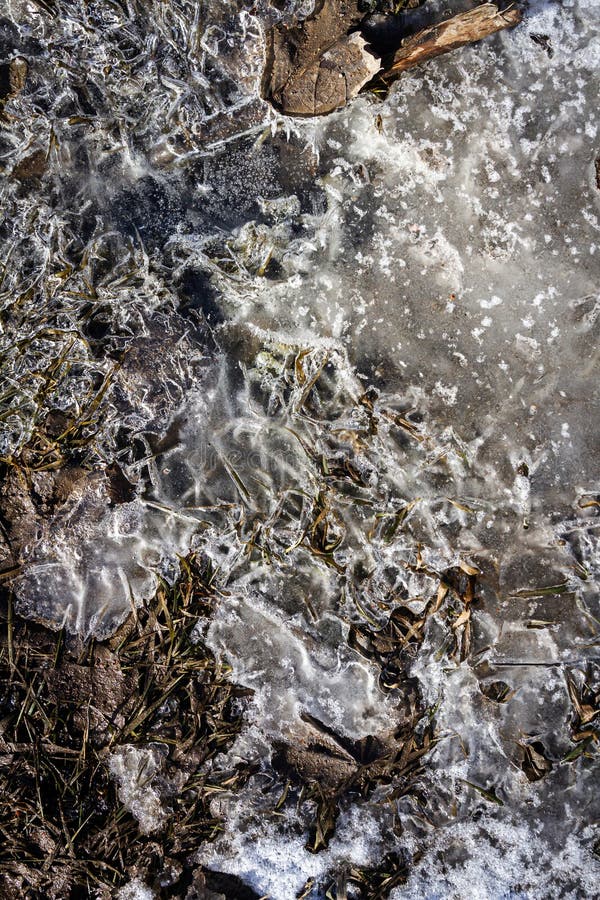Spring Ground Covered with Thawing Snow Stock Image - Image of climate ...