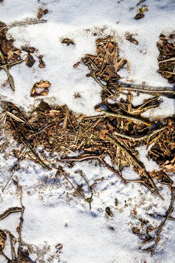 Spring Ground Covered with Thawing Snow Stock Photo - Image of white ...