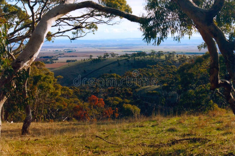 Spring Gully Conservation Park, Australia Stock Image - Image of park ...