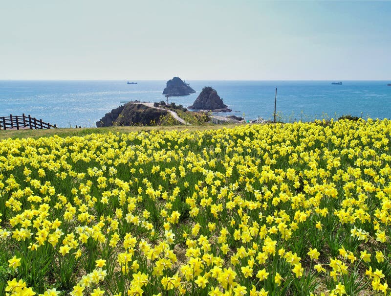 Spring of Haemaji Park in Oryukdo, Busan, South Korea, Asia Stock Photo ...
