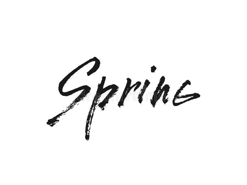 Spring. Handwritten Lettering. Modern Calligraphy. Vector Stock ...