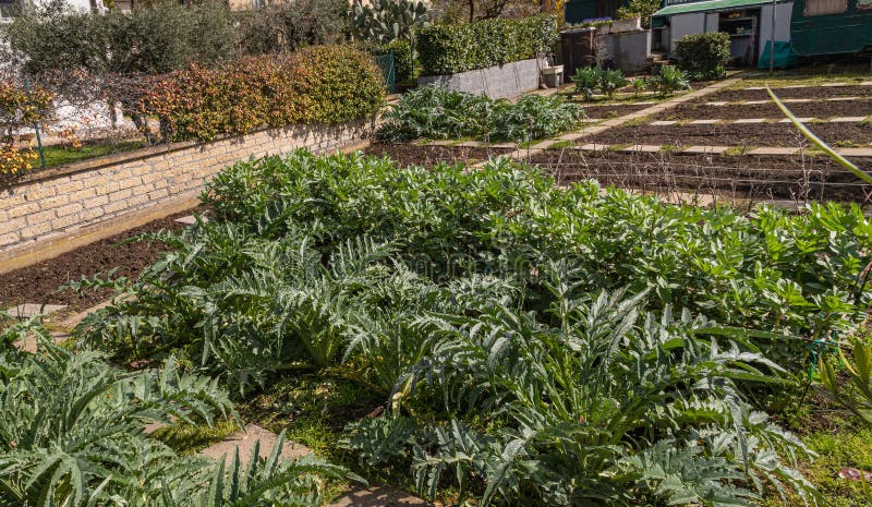 Spring Has Come and it S Time To Work on the Garden Stock Photo - Image ...