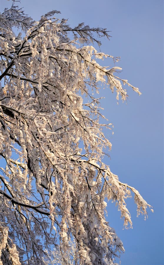 Easter Egg Snow Textured, Cold Easter Concept Stock Photo - Image of ...