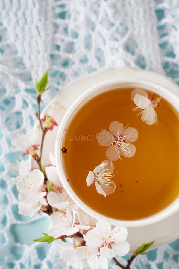 Spring Herbal Tea with Cherry Blossom Stock Photo - Image of sakura ...