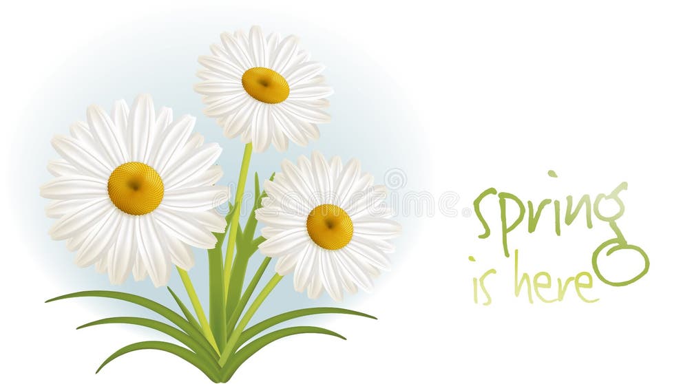 Spring is here stock illustration. Illustration of beautiful - 267400957