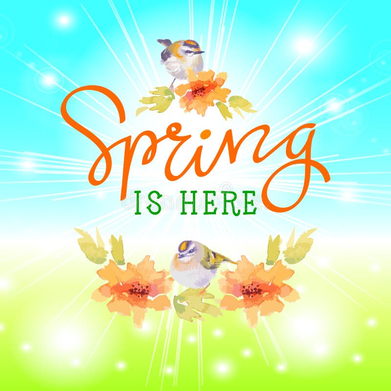 Spring is Here Vector Illustration with a Vintage Bicycle, Basket Full ...