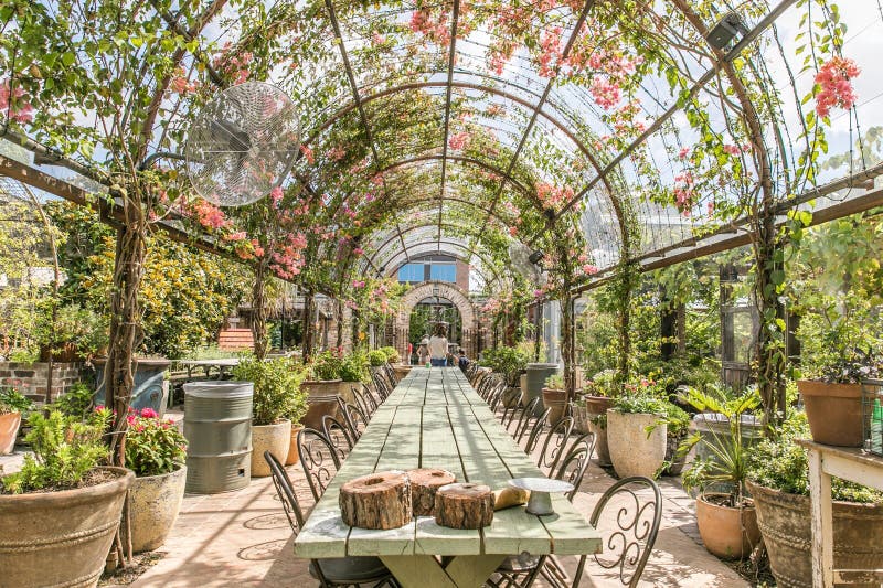 Spring is here stock photo. Image of green, bouquet, flowers - 83224484