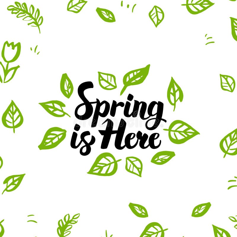 Spring is Here Greeting Postcard Stock Vector - Illustration of ...