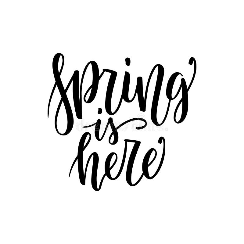 Spring is Here - Hand Drawn Inspiration Quote Isolated on White. Vector ...