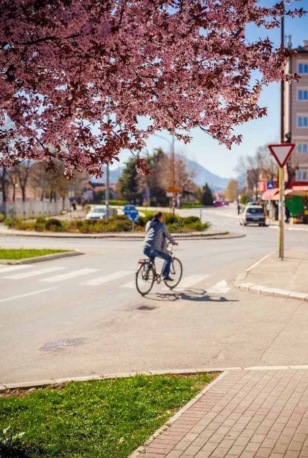 Spring is Here stock image. Image of bicycle, europe - 89512013
