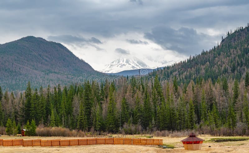 Spring High Mountain Landscape with Mixed Forest, Snow Capped Peak in ...