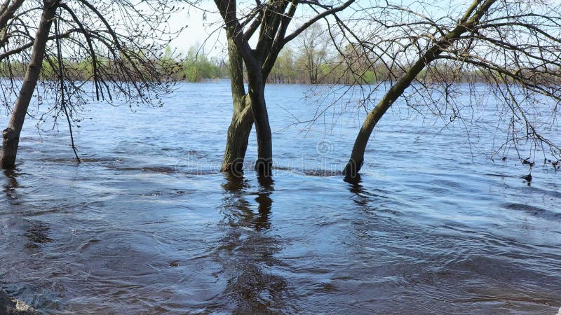 Spring High Water, when the Water Level in the River Rises and Floods ...