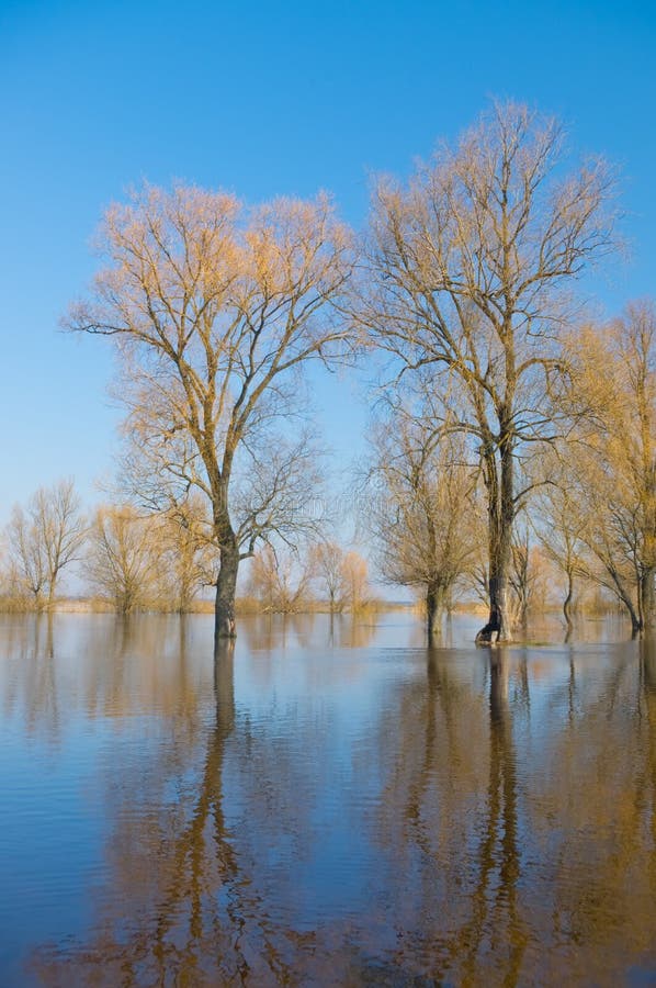 Spring high water stock image. Image of color, scene - 31991897