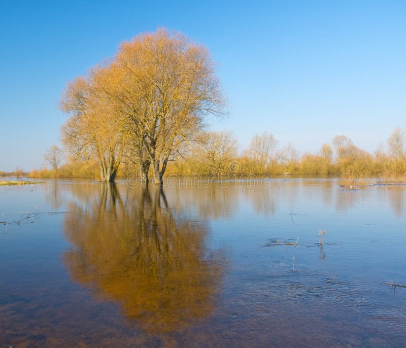 Spring high water stock image. Image of clean, landscape - 32894153