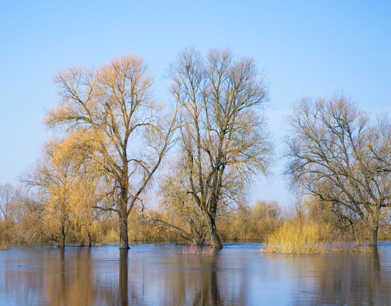 Spring high water stock image. Image of green, river - 34414959