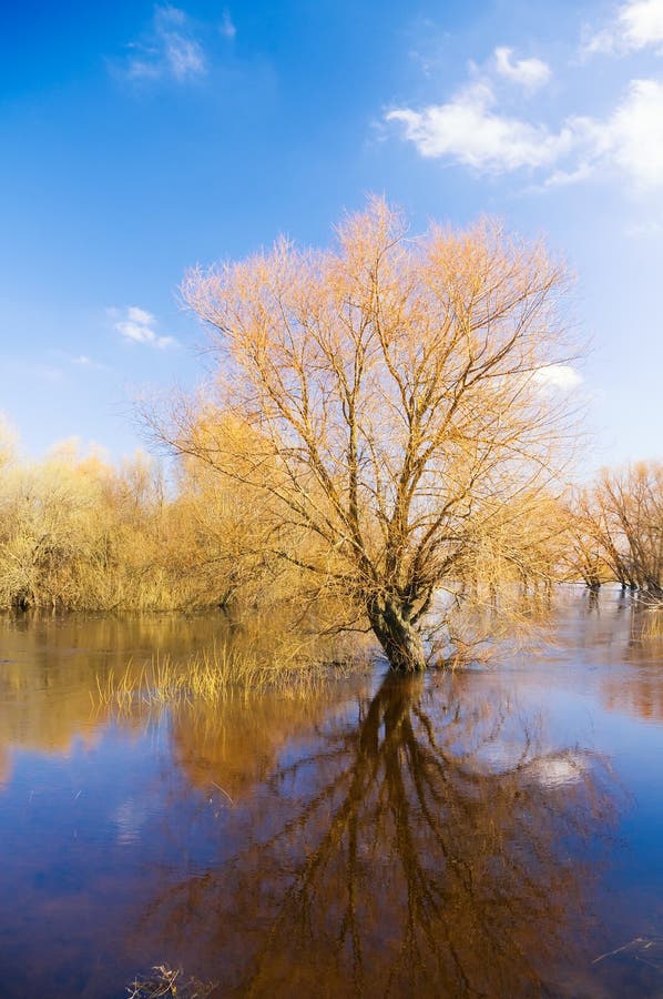 Spring high water stock photo. Image of water, high, beautiful - 32503054