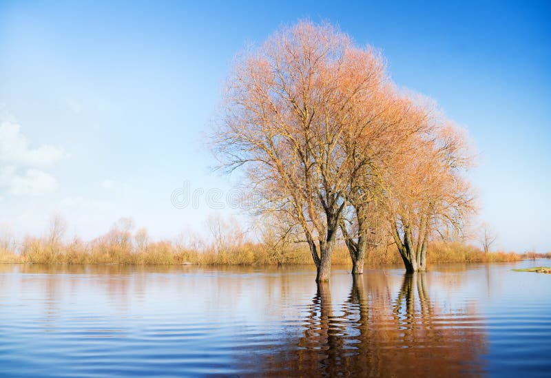 Spring high water stock image. Image of outdoor, natural - 241282415