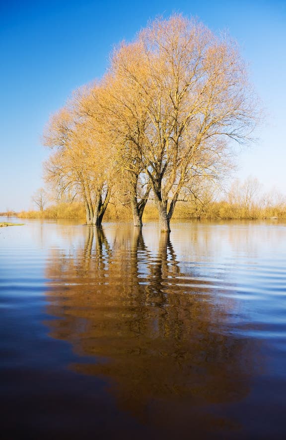 Spring high water stock image. Image of stream, green - 30883323