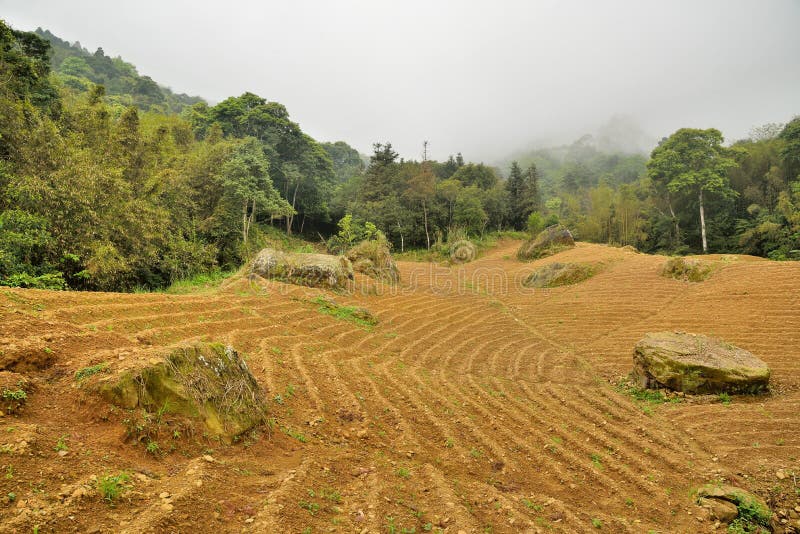 Spring Highland Farmland in Taiwan. Landscape Stock Photo - Image of ...