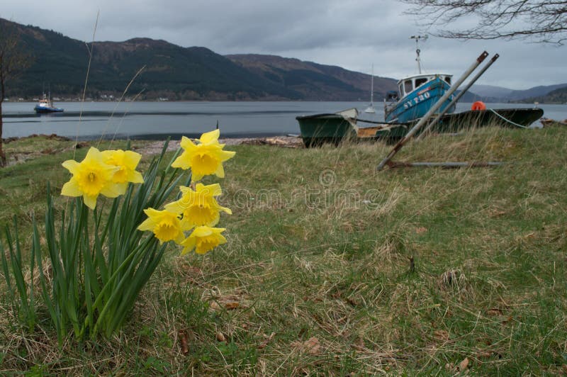 Spring in the Highlands stock image. Image of fishing - 39818449