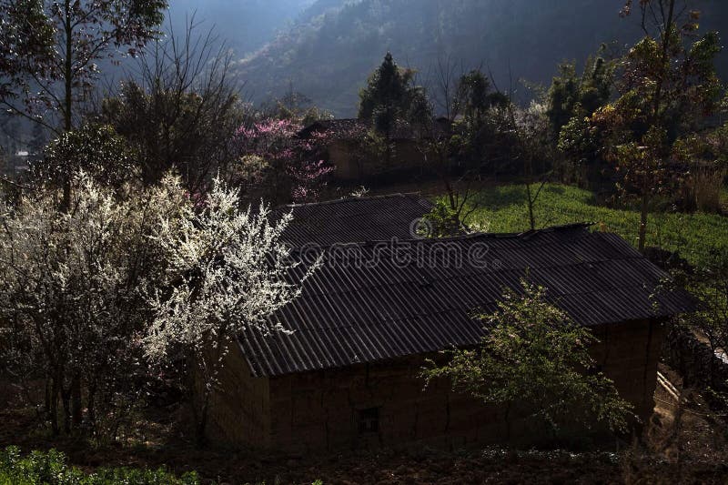 Spring in the highlands stock photo. Image of wilderness - 207397030