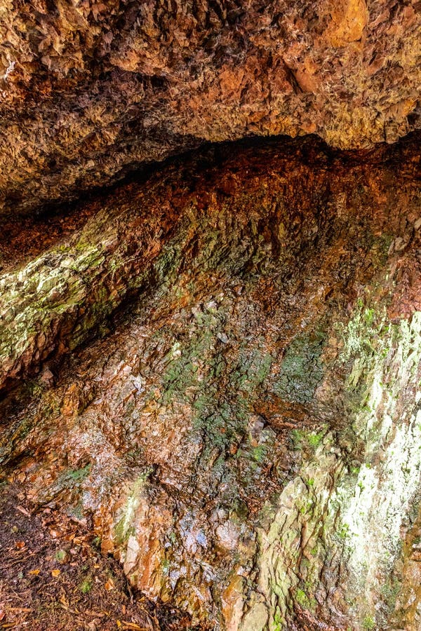 Spring Hike through the Thuringian Forest Near Floh-Seligenthal Stock ...