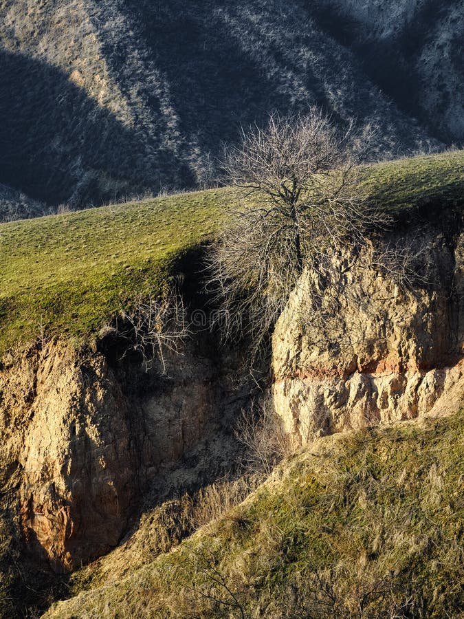 Spring Hills I stock photo. Image of idyllic, landscape - 93237980