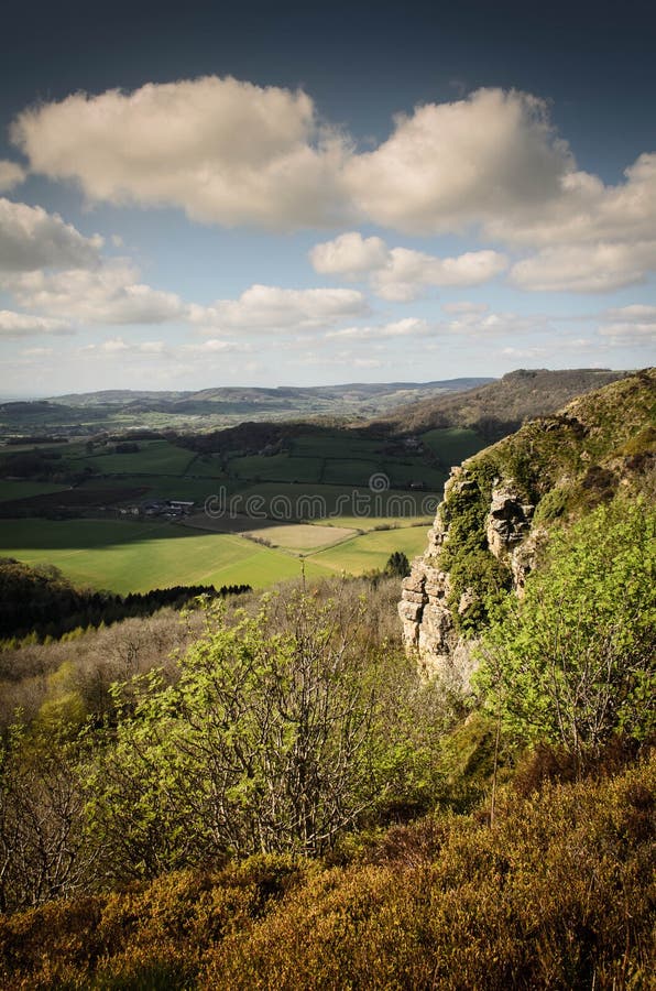 Spring Hillside stock image. Image of cliff, bank, nature - 40049515
