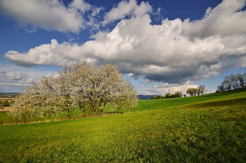 Spring on the hillside stock photo. Image of grassland - 52651804