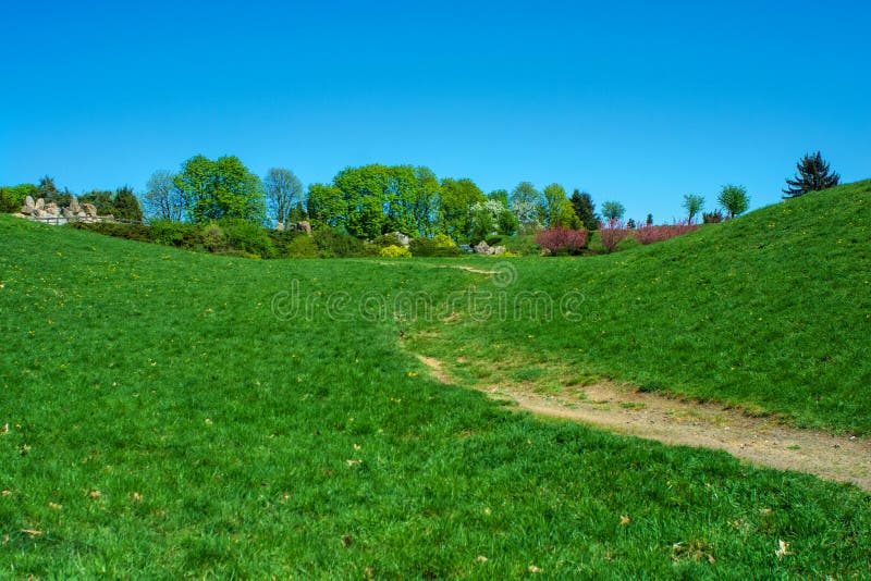 Spring Hilly Field with Green Grass Stock Image - Image of backdrop ...