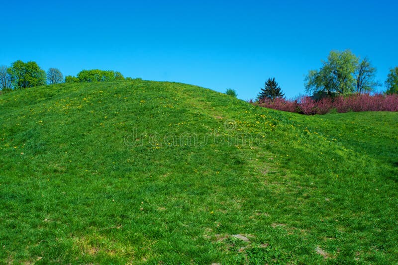 Spring Hilly Field with Green Grass Stock Image - Image of field ...